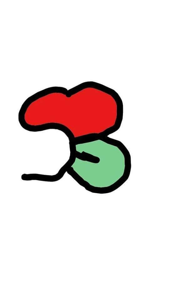 STONEBILLS®️ – STONEBILLS™️